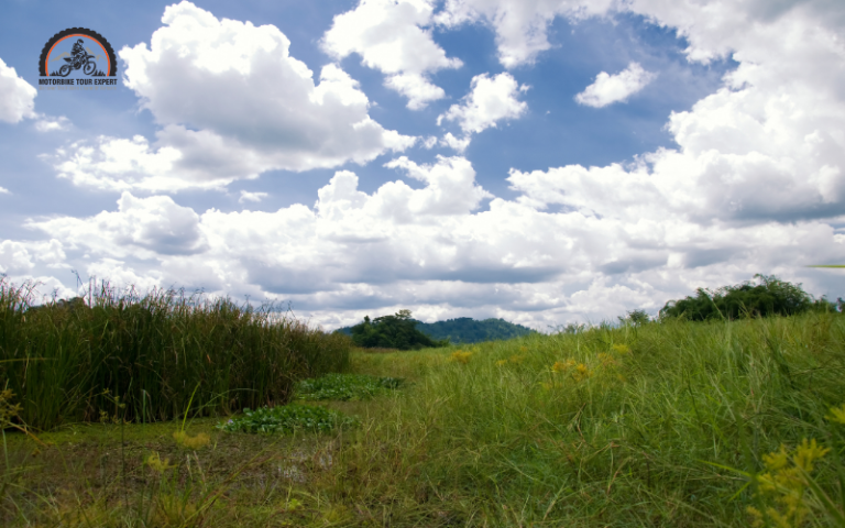 Cat Tien National Park: Wildlife, Trails, and Travel Guide