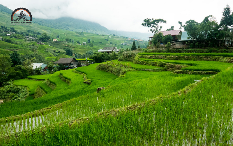 Sapa Vietnam Travel Guide: Places to visit & Things to do